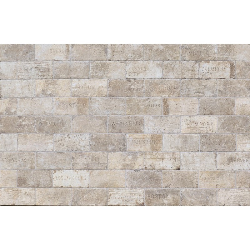 CHICAGO CITY MIX SOUTH SIDE 10x20cm 10,5mm R10 - CIR 10474231